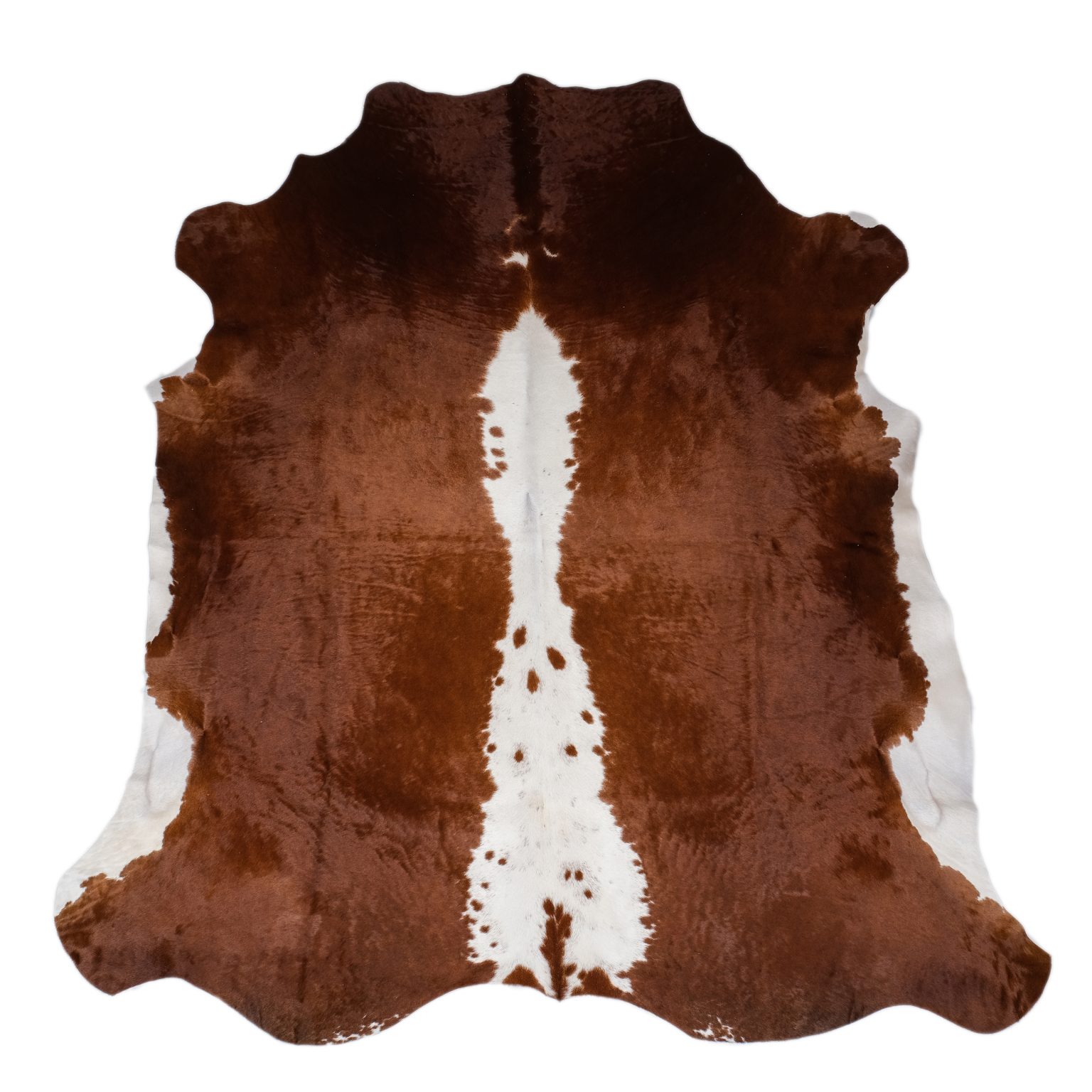 Brown and White Cowhide Rugs | Zulucow